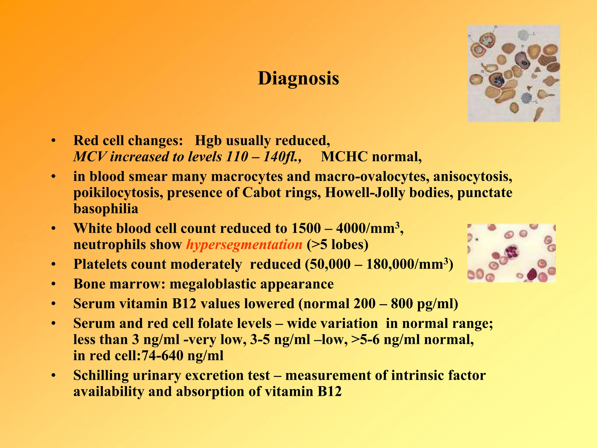 anemia_in_children.ppt a general overview and classification with ...