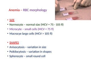 anemia in children ppt presentation paediatrics | PPTX