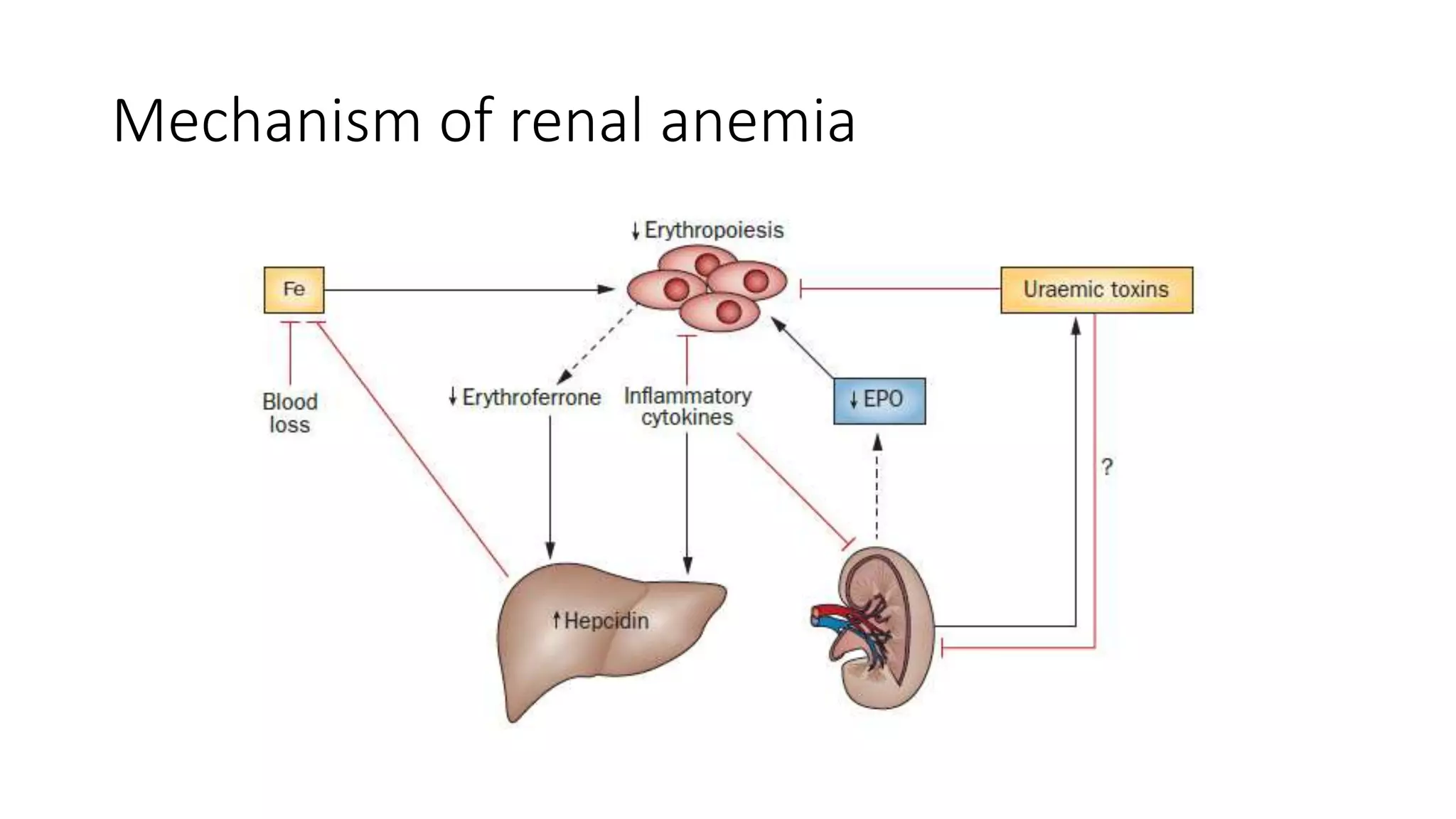 Anemia in CKD.pptx