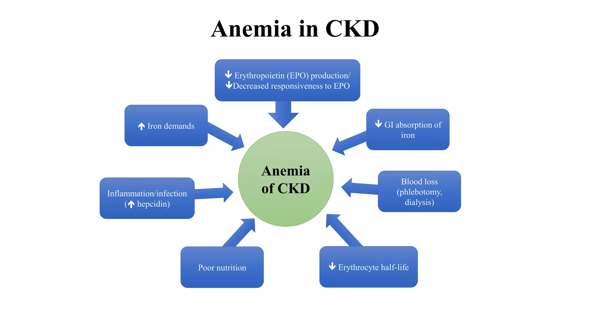 anemia in ckd.pptx