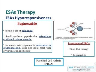 Anemia in CKD - ESAs Therapy - Guideline Critique, Evidence base - Dr ...