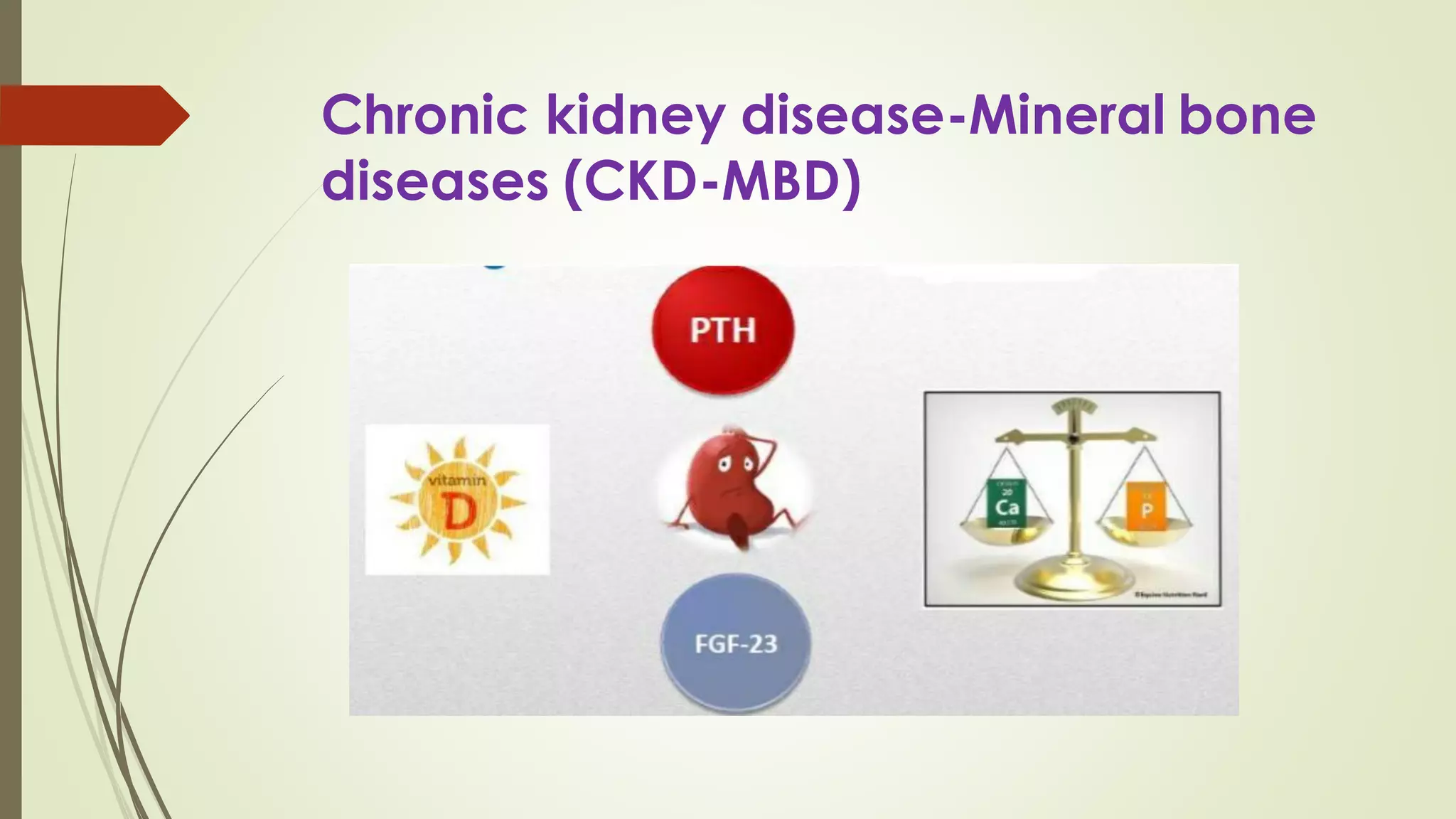 Management of Anemia in ckd and mineral bone diseases | PDF