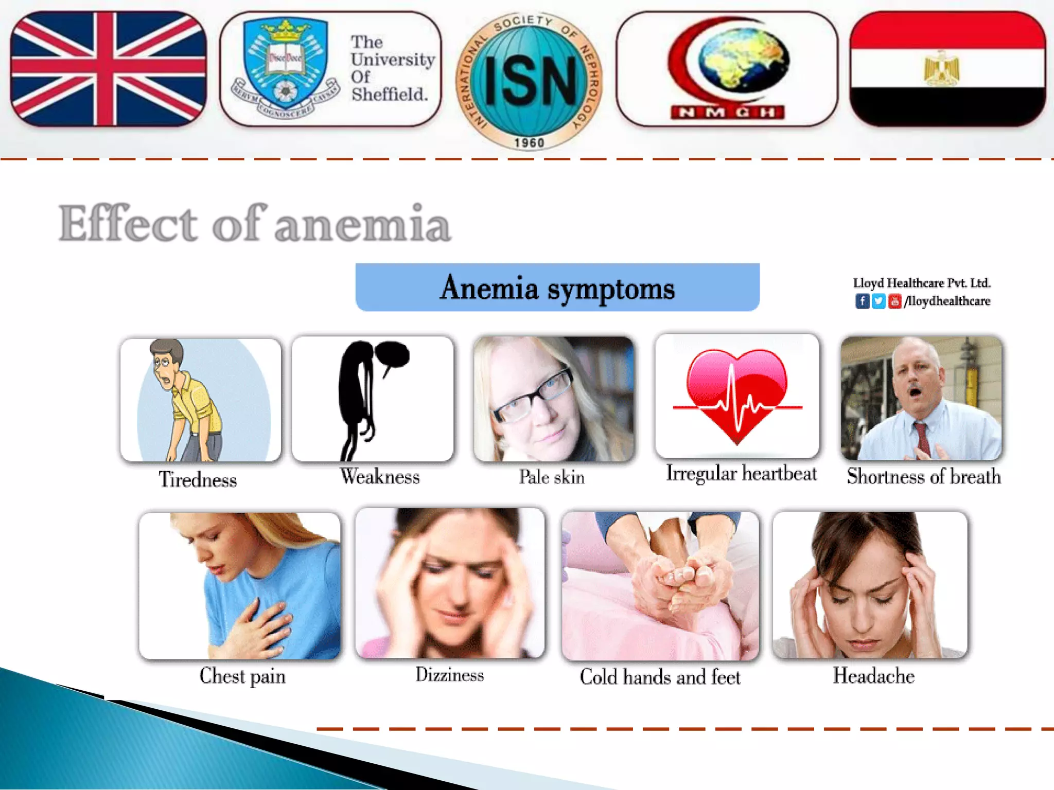 Anemia in ckd patients 1 | PPT