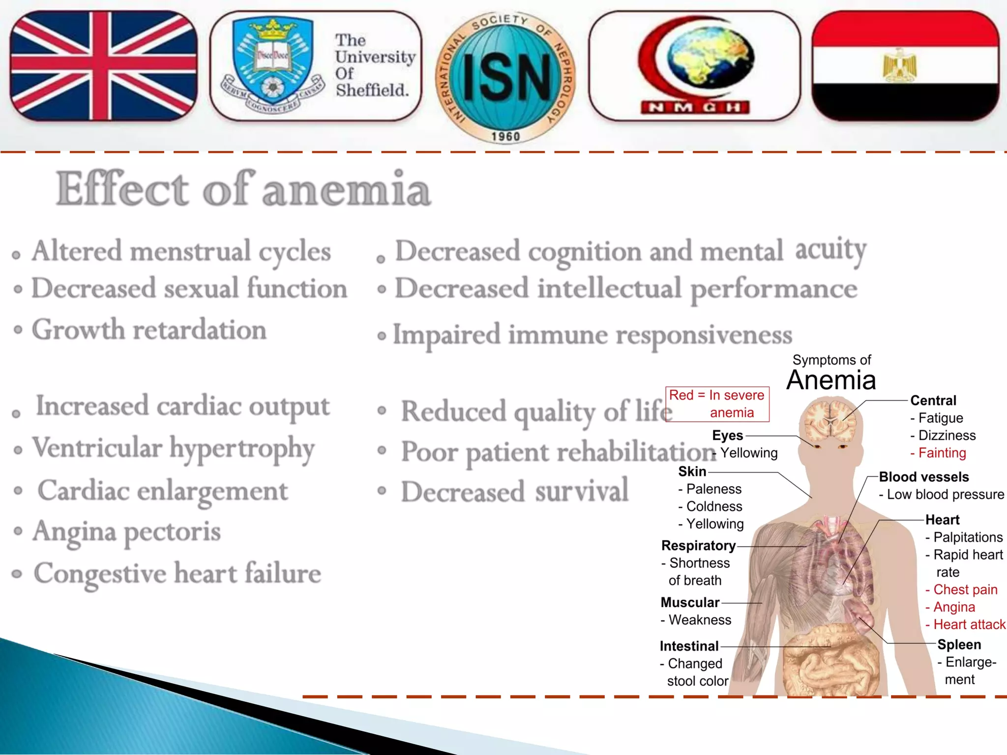 Anemia in ckd patients 1 | PPT