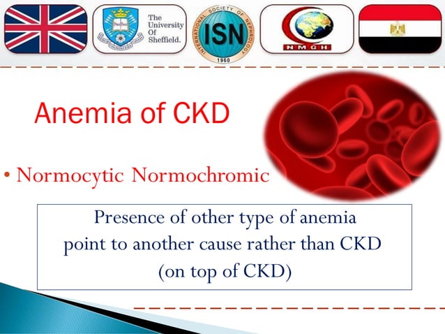 Anemia in ckd patients 1 | PPT