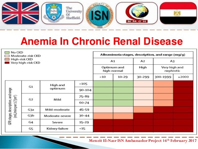 Anemia in ckd patients