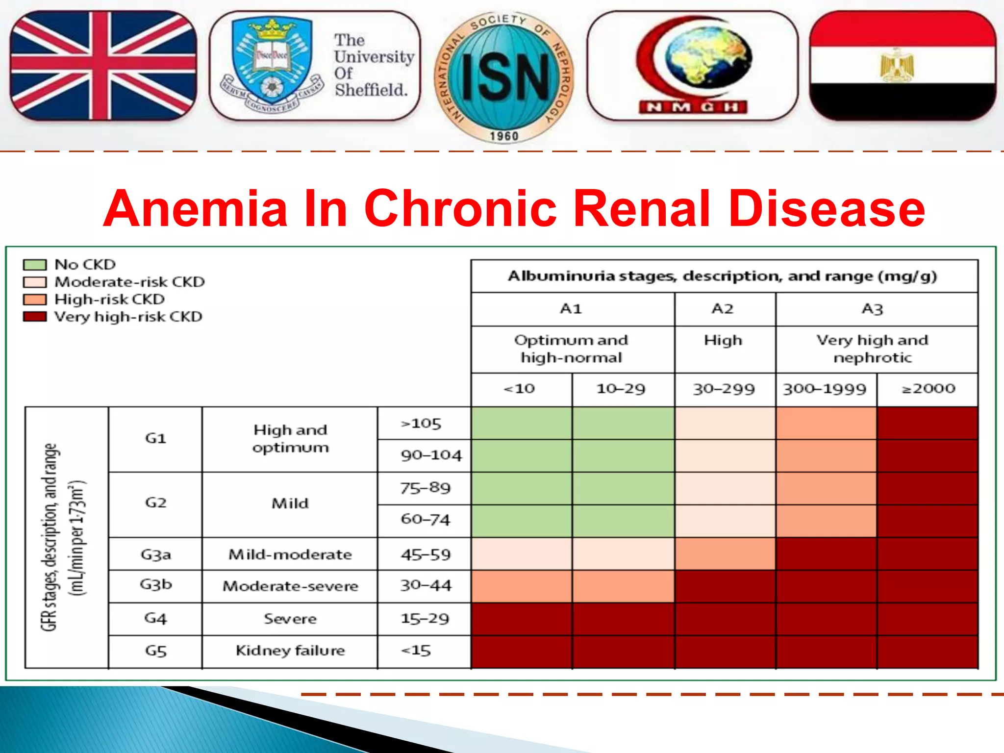 Anemia in ckd patients | PDF