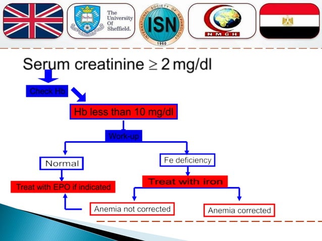 Anemia in ckd patients | PPT