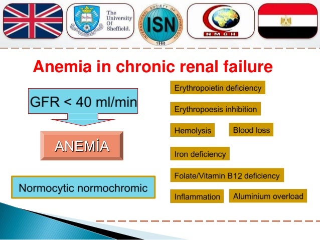 Anemia in ckd patients