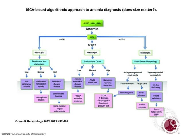 Anemia in elderly | PPT