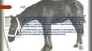 Anemia infecciosa equina | PPTX