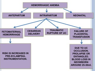 Anemia in newborn pediatrics.pptx