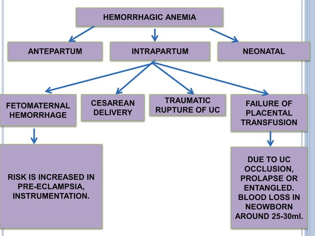 Anemia in newborn pediatrics.pptx | Blood Disorders | Diseases and ...