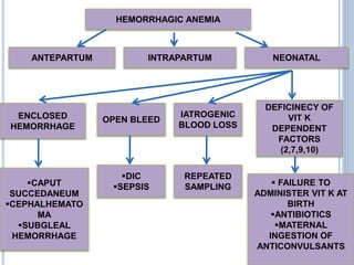 Anemia in newborn pediatrics.pptx