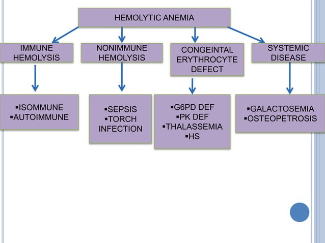 Anemia in newborn pediatrics.pptx | Blood Disorders | Diseases and ...