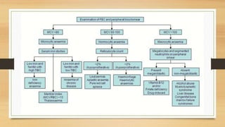 ANEMIA IN PREGNANCY.pptx