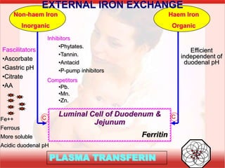 Anemia in pregnancy rns | PPT