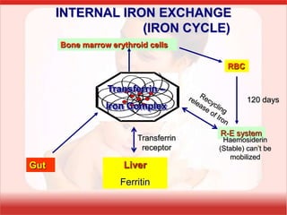 Anemia in pregnancy rns | PPT