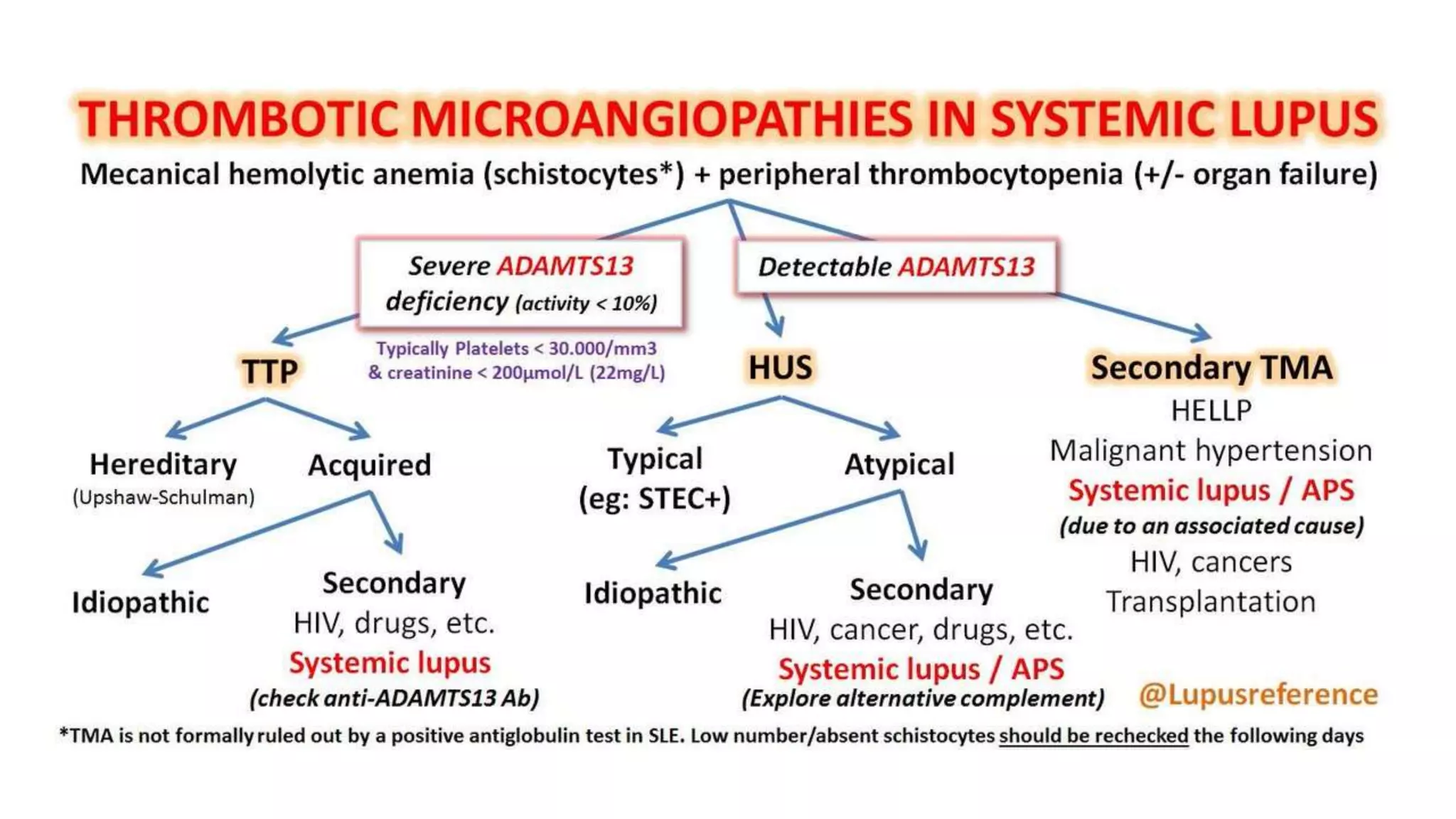 Anemia in sle pregnant | PPT