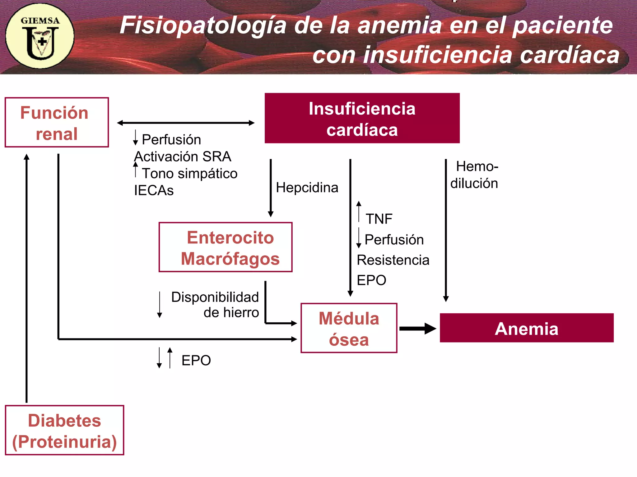 Anemia, insuficiencia cardíaca y transfusión. Talavera 2016 | PPT