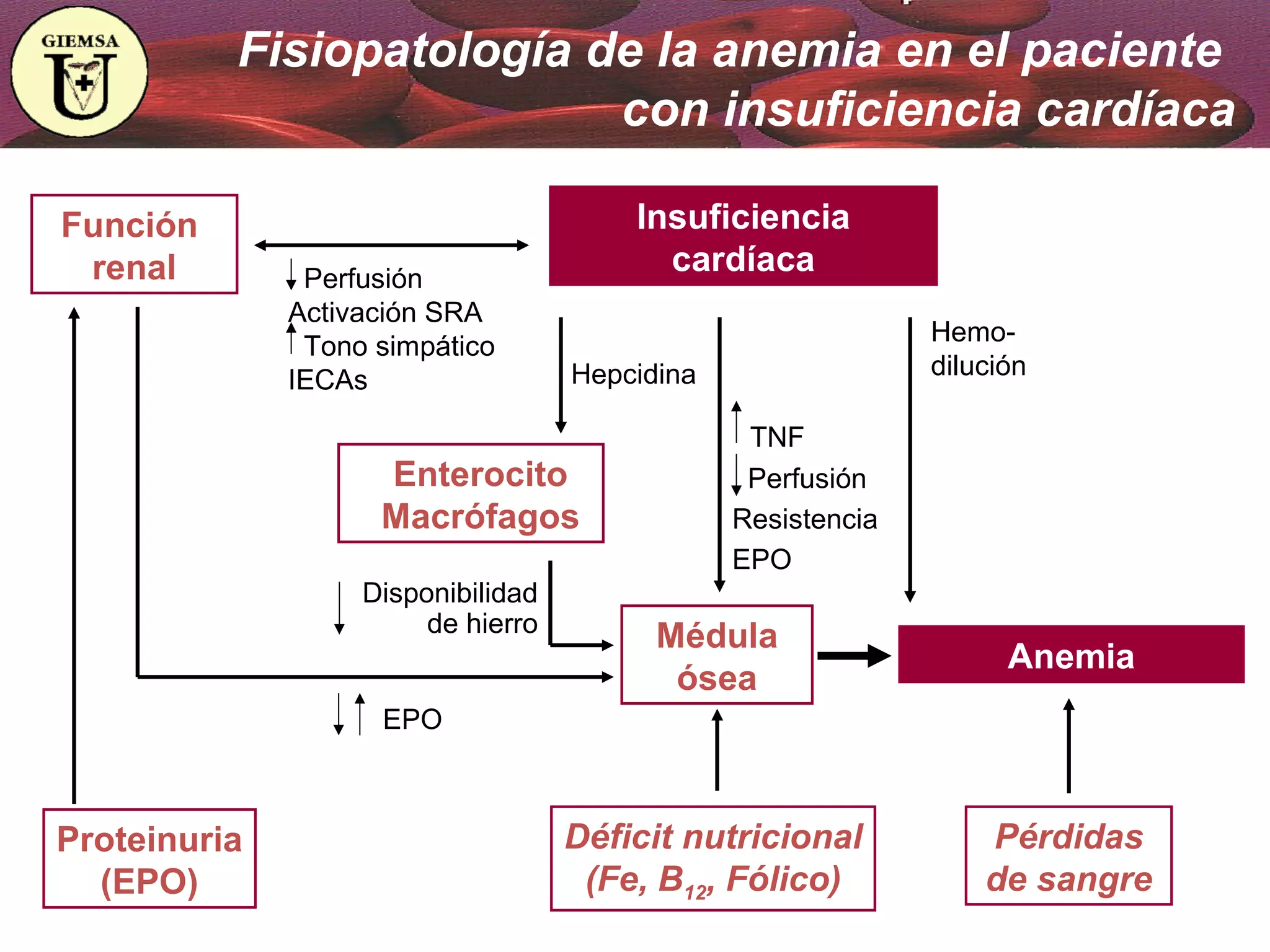 Anemia, insuficiencia cardíaca y transfusión. Talavera 2016 | PPT