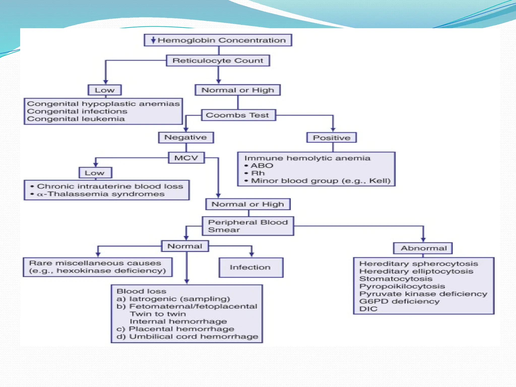 Anemia in the Newborn Infant Anemia.pptx