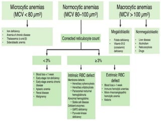 Anemia and types of anemias Lecture.docx