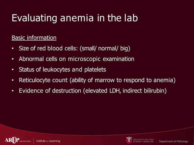 Anemia Lecture for the MLT students.pptx | Blood Disorders | Diseases ...