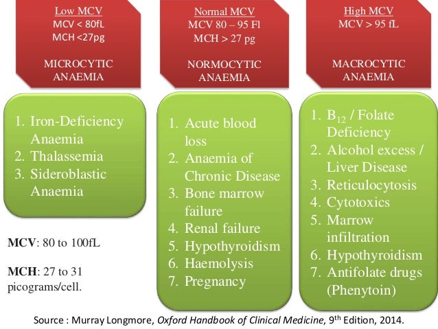 Anemia In The Viewpoint Of Medical, Peadiatrics & Obstetrics