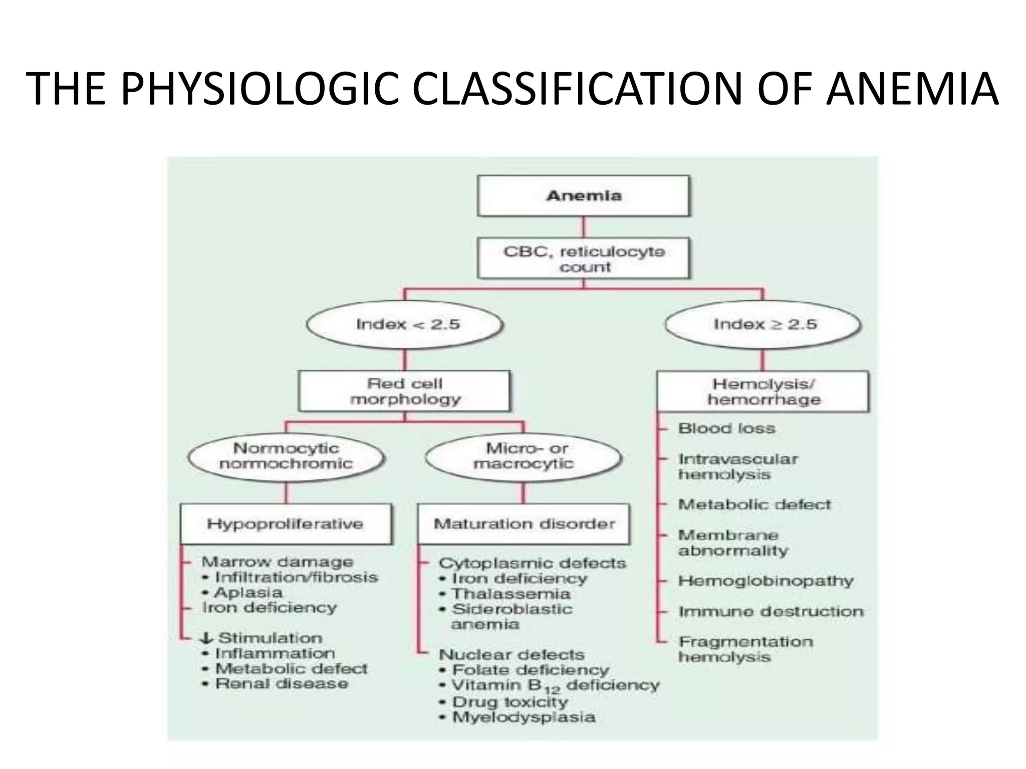 anemia (medicine).pptx | Blood Disorders | Diseases and Conditions