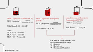 PATOFISIOLOGIS PENYAKIT ANEMIA MEGALOBLASTIK | PPTX