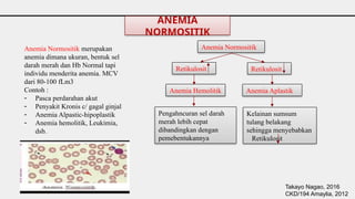PATOFISIOLOGIS PENYAKIT ANEMIA MEGALOBLASTIK | PPT