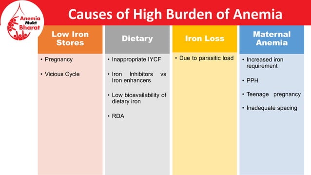 Anemia Mukt Bharat - 6x6x6 strategy | PPTX | Pregnancy | Reproductive ...