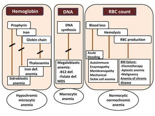 Anemia new.pptx