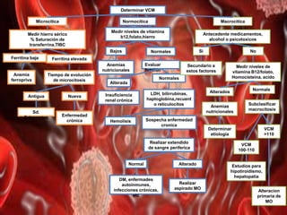 Anemia normocitica | PPTX
