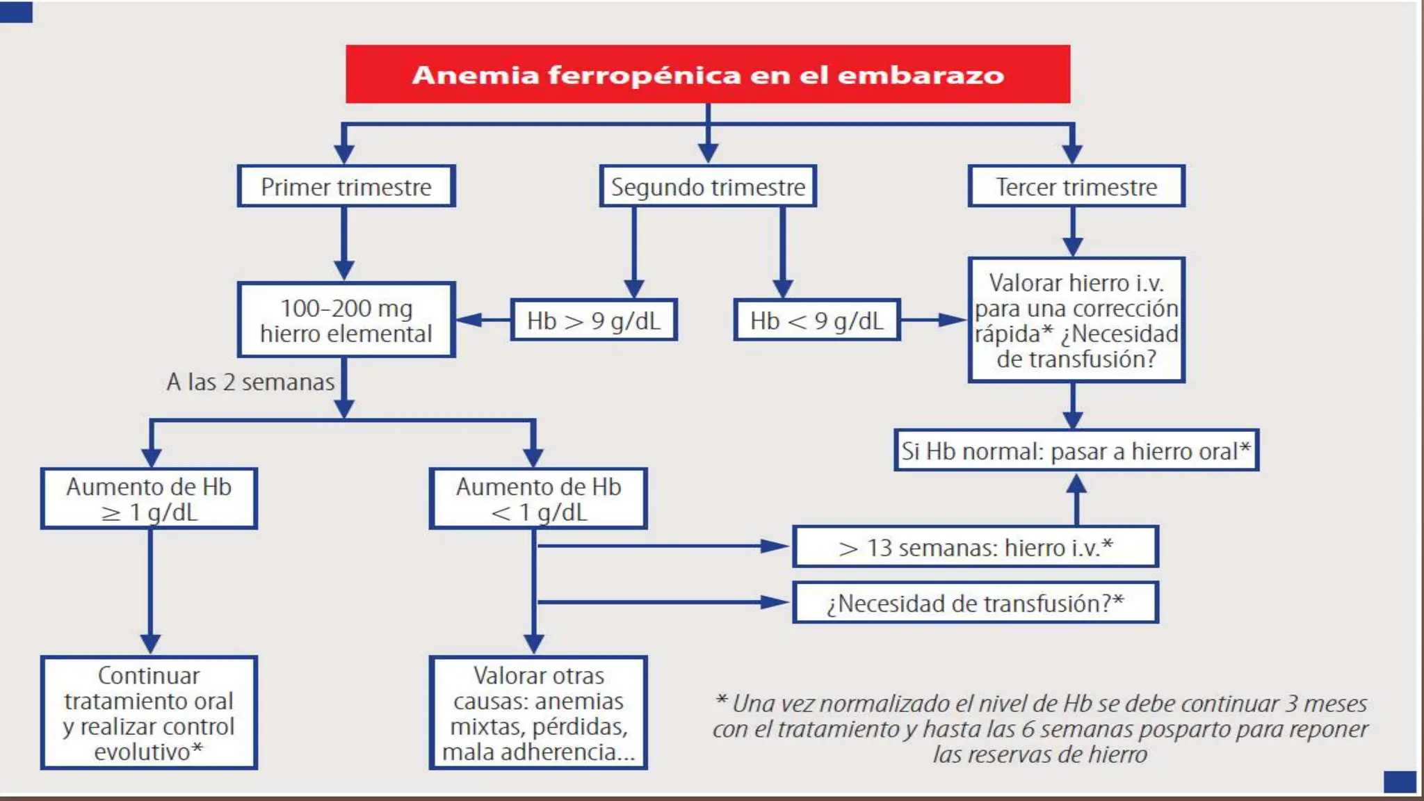 anemia en el embarazo, obtetricia nuni.pptx