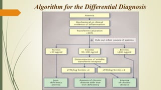 Anemia Of Chronic Disease Algorithm