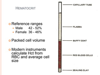 Anemia overview | PPTX