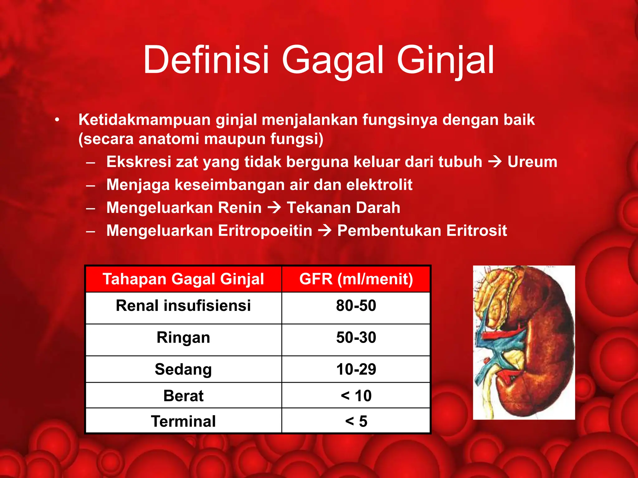 Anemia_pada_Gagal_Ginjal_Kronik GGK..ppt