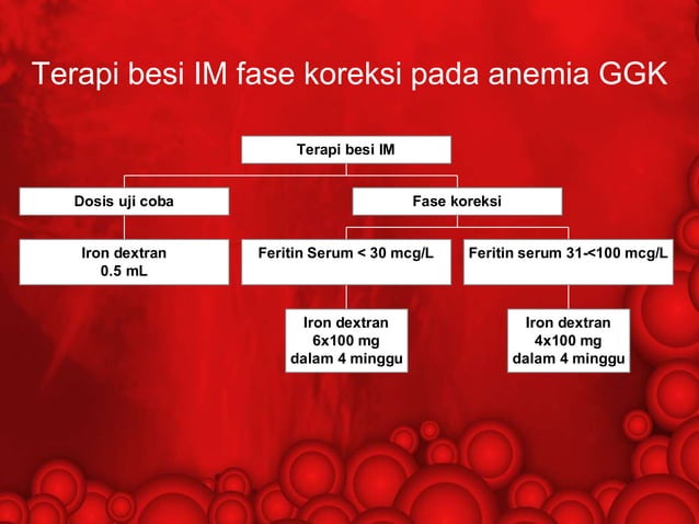 Anemia_pada_Gagal_Ginjal_Kronik GGK..ppt