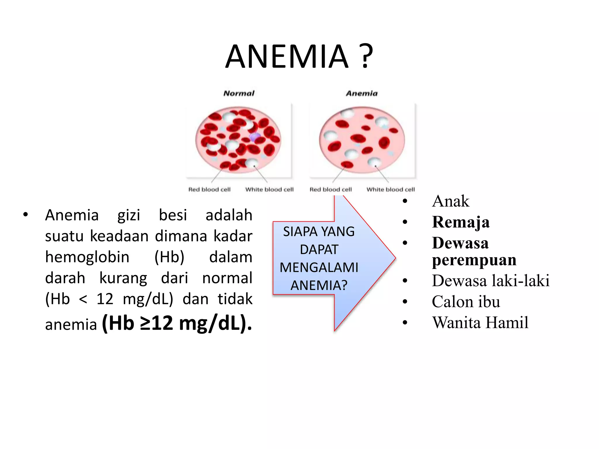 ANEMIA PADA REMAJA.ppt