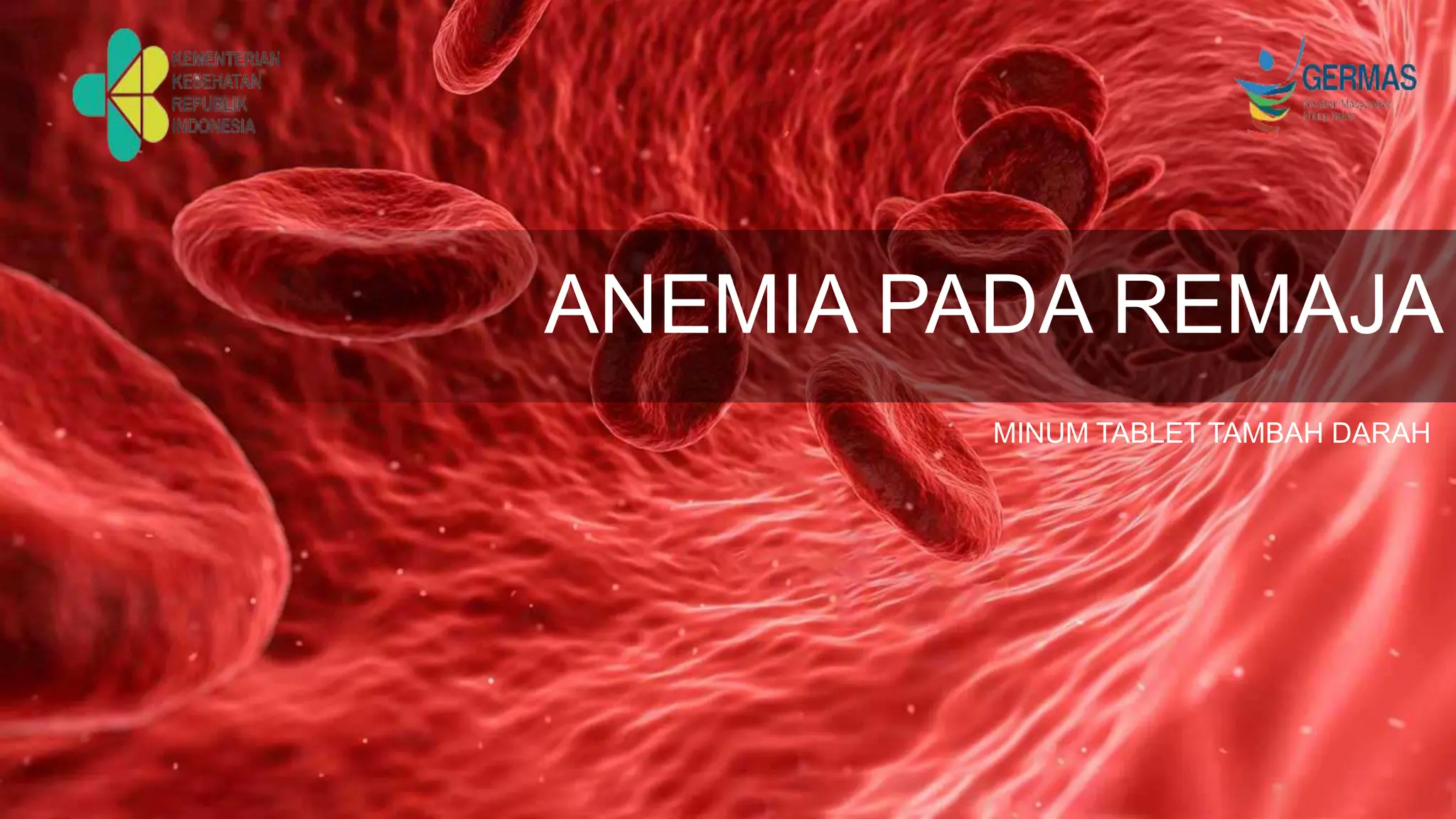 ANEMIA PADA REMAJA PUTRI dan Manfaat Minum Tablet Tambah Darah.pptx