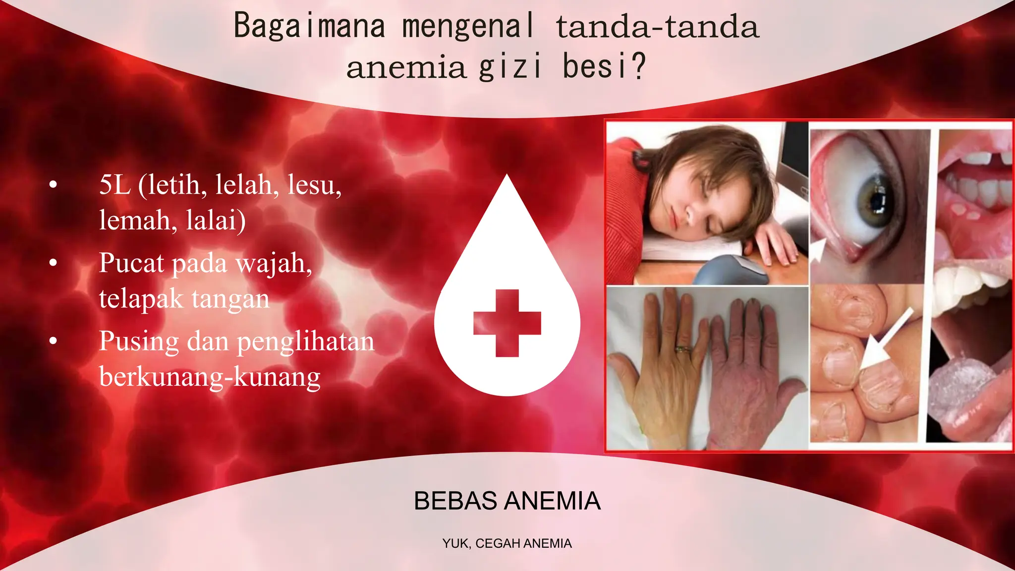 ANEMIA PADA REMAJA PUTRI dan Manfaat Minum Tablet Tambah Darah.pptx