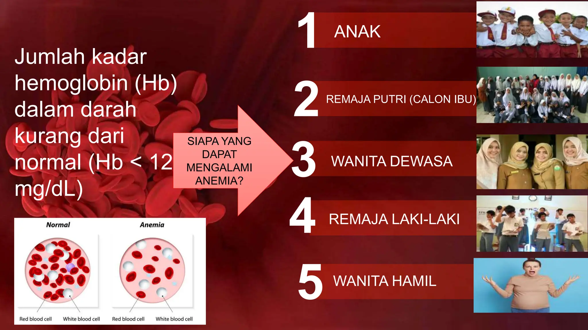 ANEMIA PADA REMAJA PUTRI dan Manfaat Minum Tablet Tambah Darah.pptx