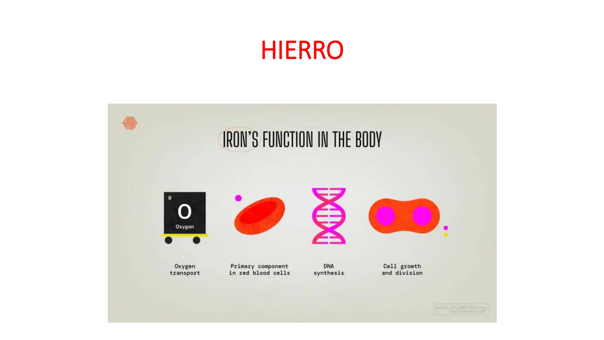 ANEMIA POR DEFICICIENCIA DE HIERRO: Cuadro clínico | PPT