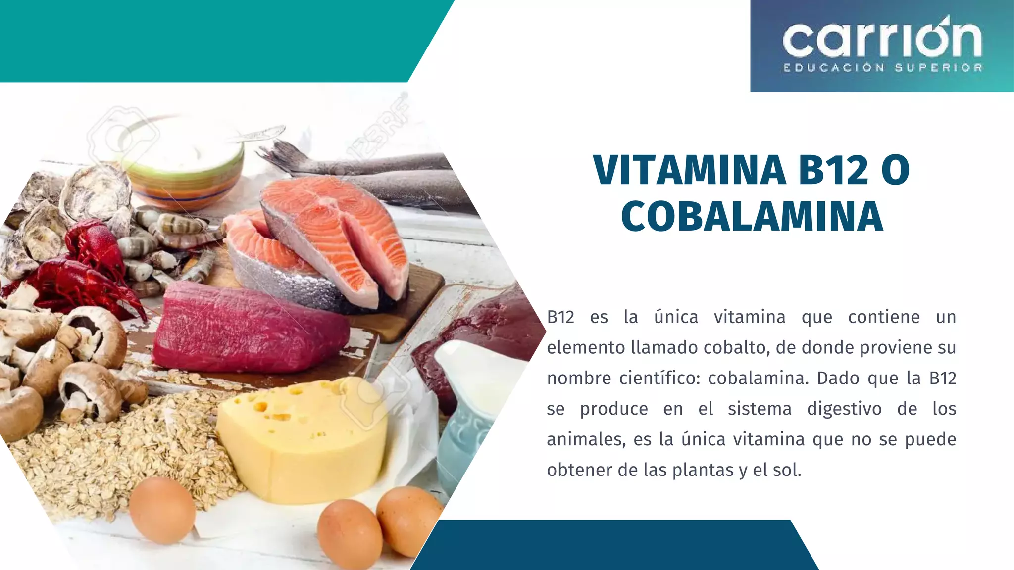 Anemia por déficit de vitamina b12 y Ácido fólico | PDF