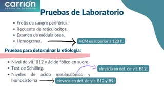 Anemia por déficit de vitamina b12 y Ácido fólico | PDF