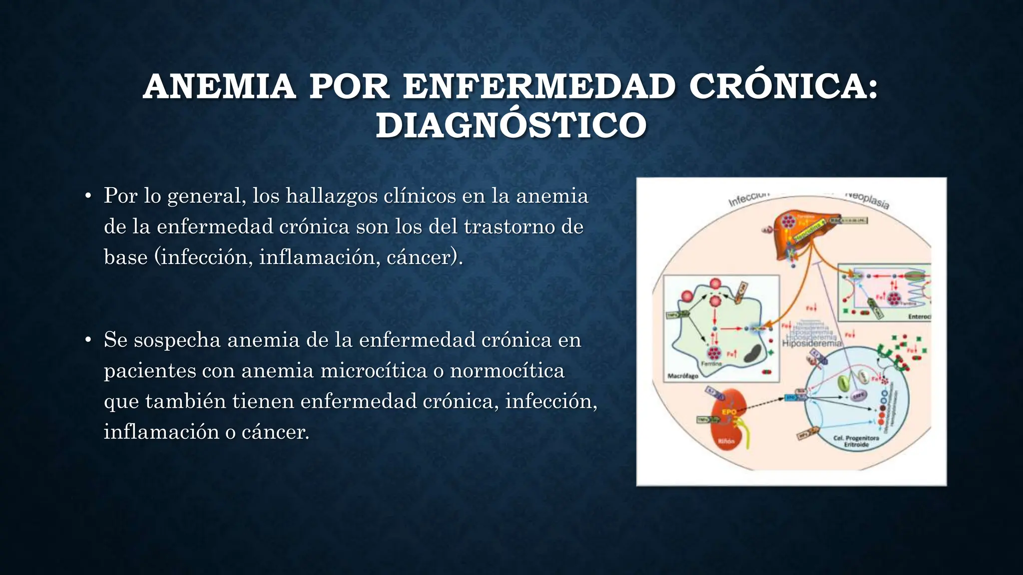 Anemia por enfermedad crónica y sus caracteristicas.pptx