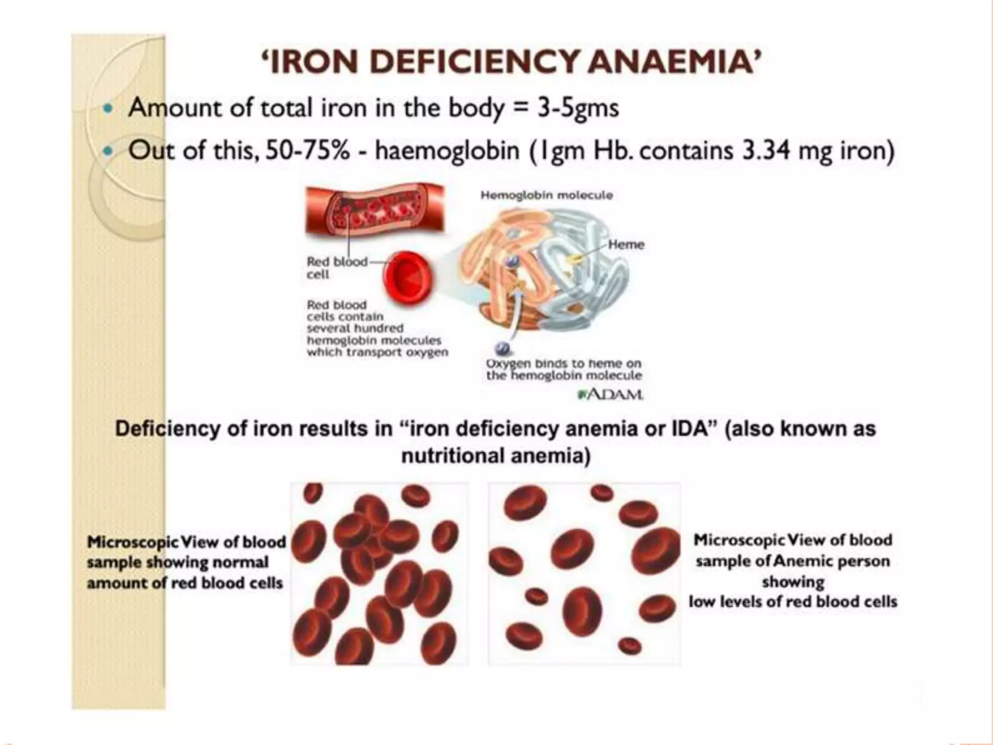 Anemia ppt | PPTX
