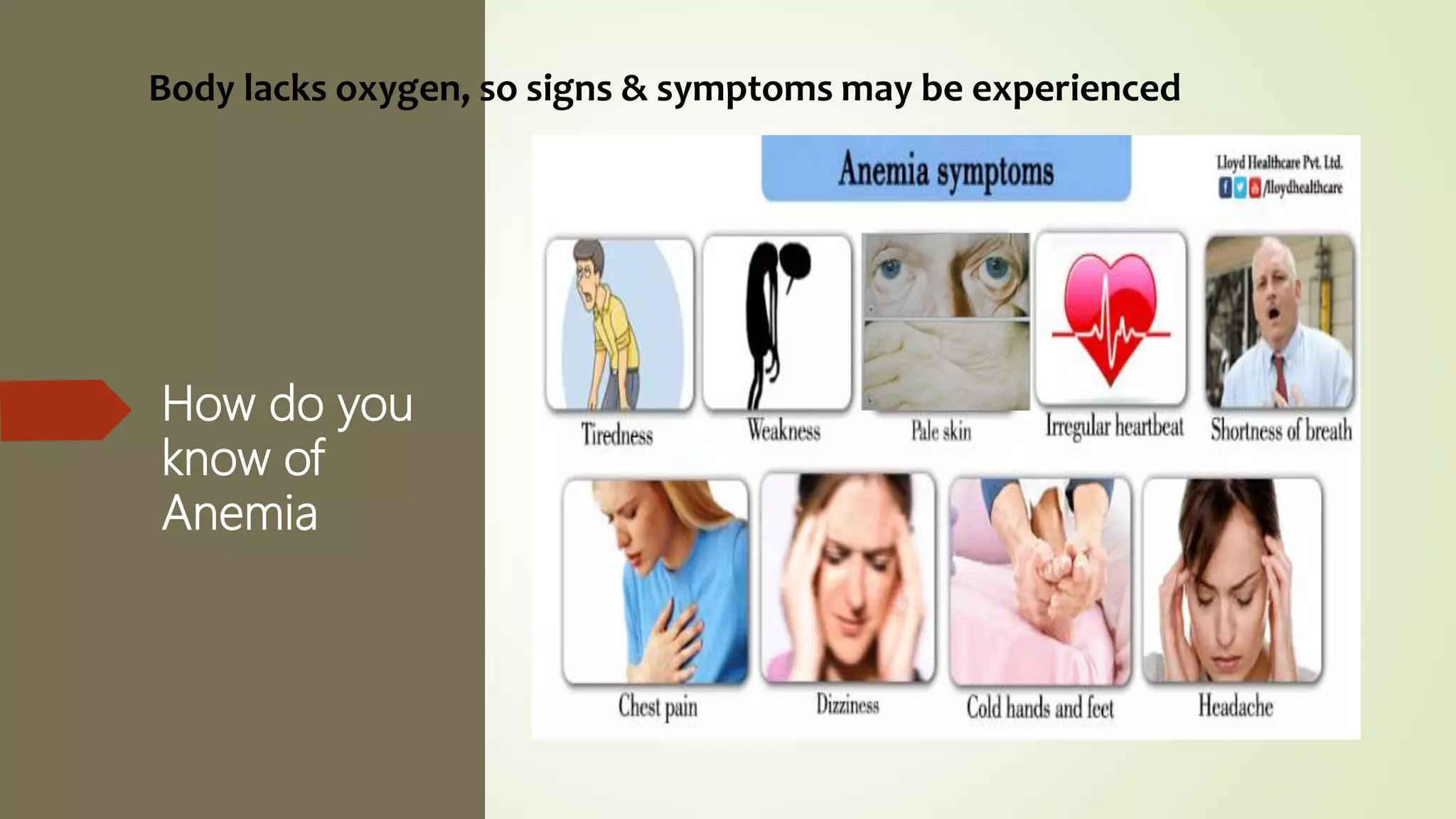 ANEMIA PPT.pptx | Blood Disorders | Diseases and Conditions